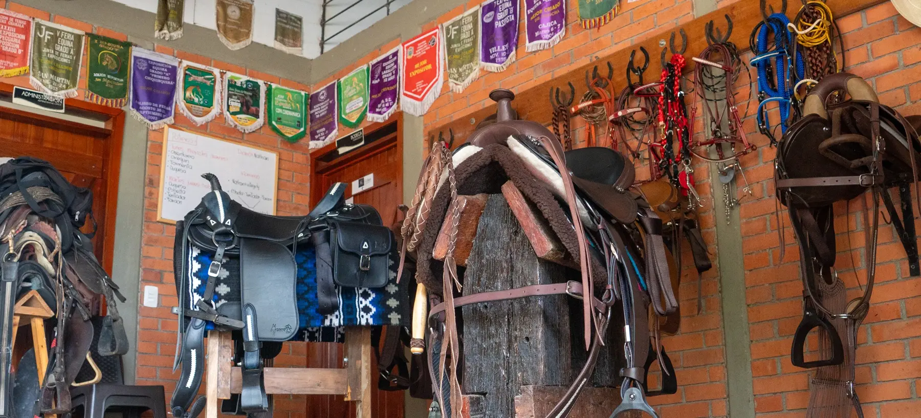 Tipos de sillas de montar a caballo según disciplinas ecuestres | Mesace.co