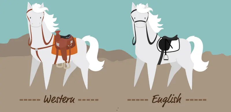 Silla Western vs. Silla Inglesa: ¿Cuál es la Montura Ideal para Usted y ...