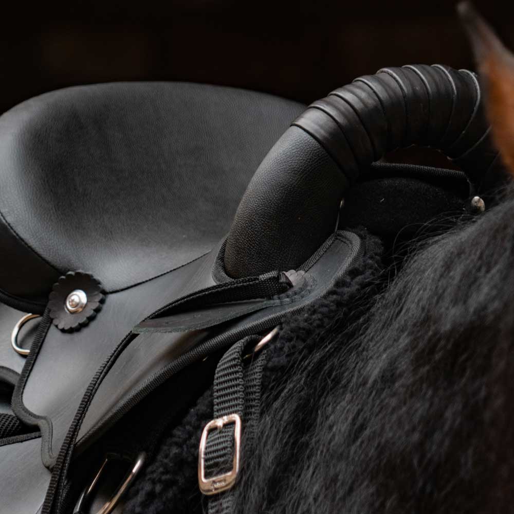 Sillas y monturas para montar a caballo para cabalgata Mesacé