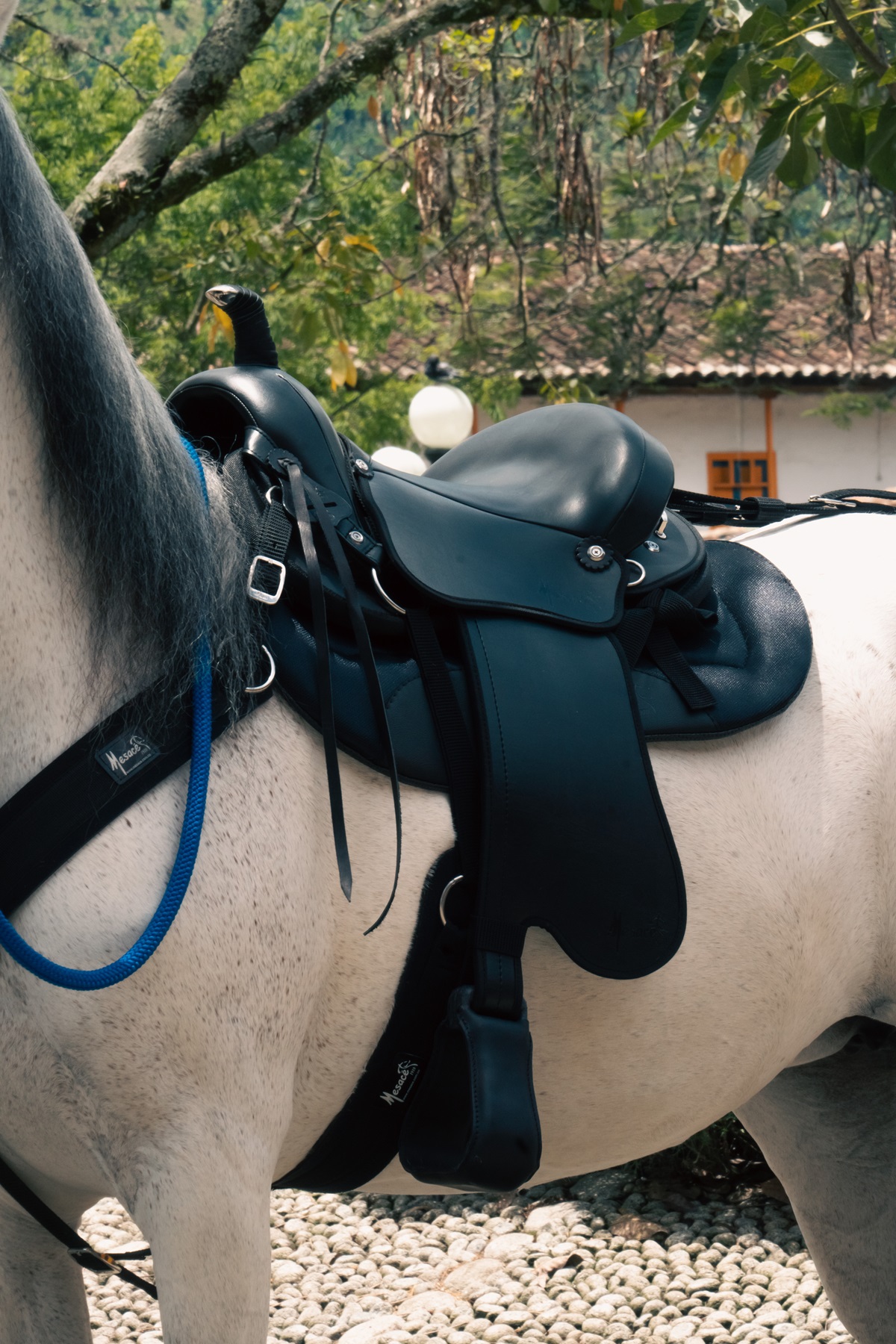 Mesacé - Western horse saddles lightweight and durable