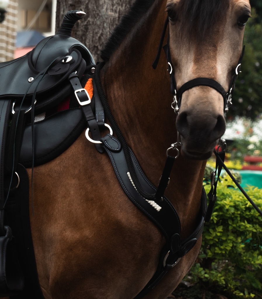 PECHERA IMPERMEABLE LUJO RECTA. | Mesace.co